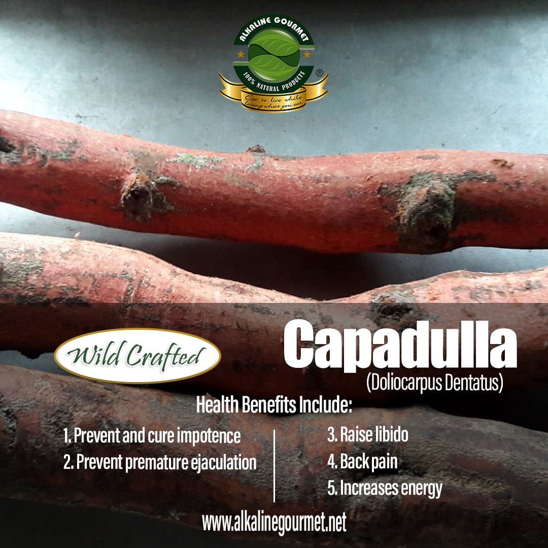 Capadulla (Doliocarpus Dentatus) | Shop Alkaline Gourmet